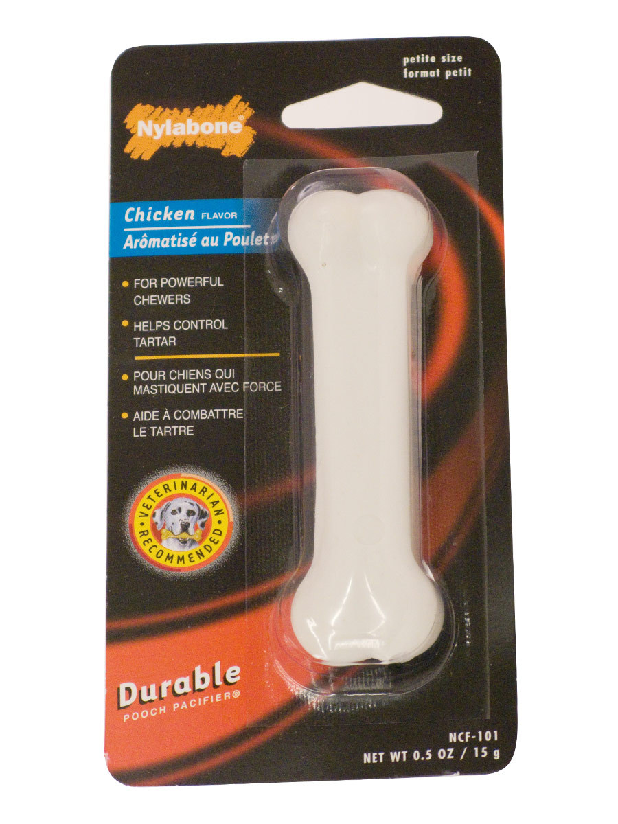 Nylabone Flavored Plastic Chew Bone at Pet Shed Nylabone Flavored Plastic Chew Bone at Pet Shed